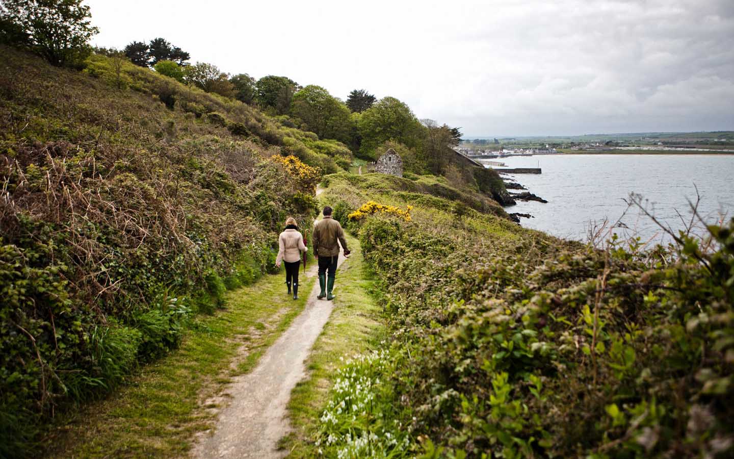 Ardmore Cliff Walks, Outdoor Activities Ardmore | 5-Star Cliff House Hotel